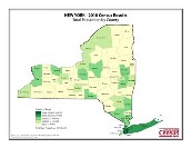 County Executive Picente Announces New Informational Website | Oneida ...